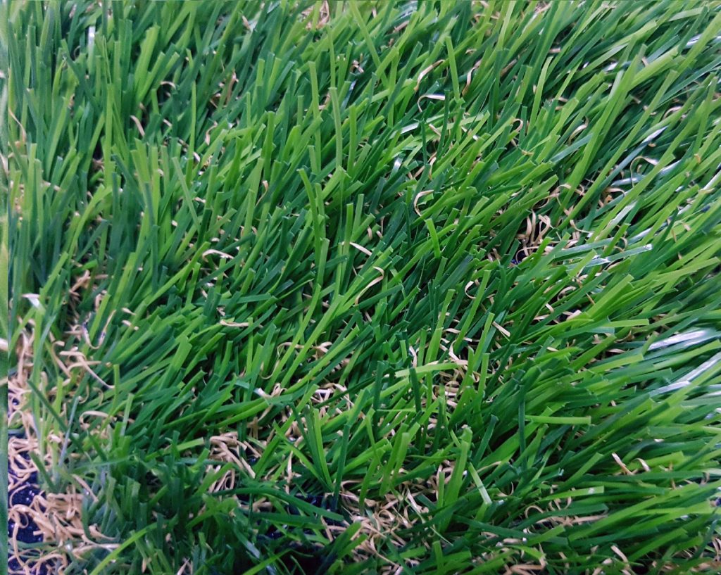 AXONOPUS - Carpets.lk